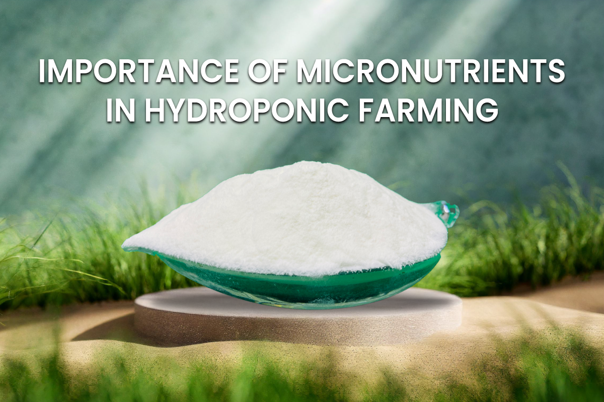 #1 Role of Micronutrients in Hydroponic Farming | SAR Agro