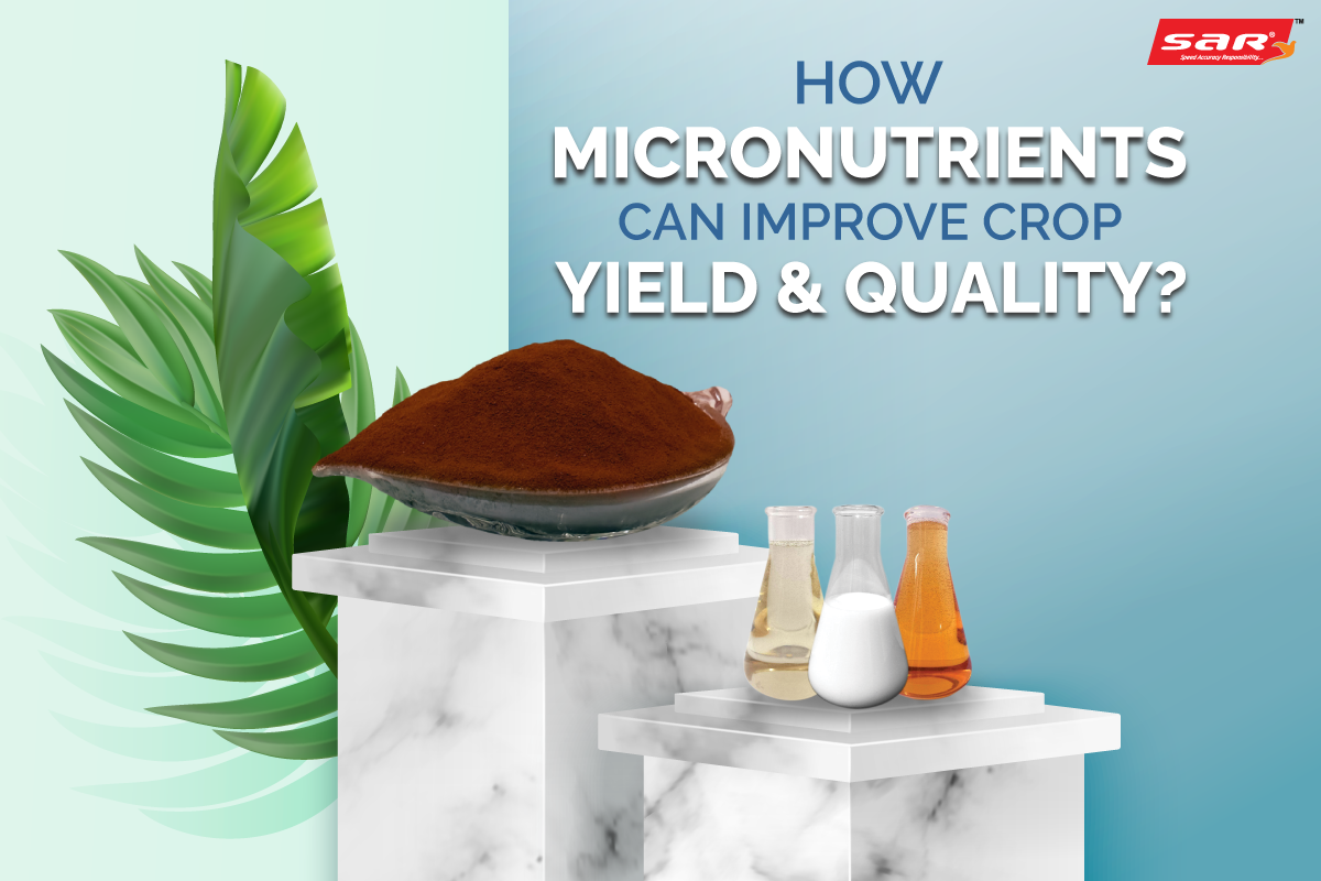 #1 Micronutrients Secret to Higher Yield & Quality