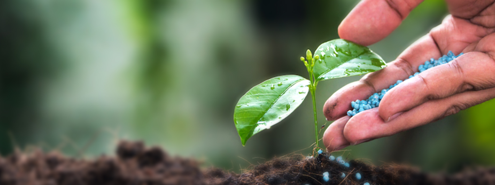 #1 Crop Care: Strategies to Protect Farm Yield
